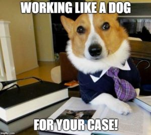 Locum Tenens Contract Guide {Sample Locum Tenens Agreement}